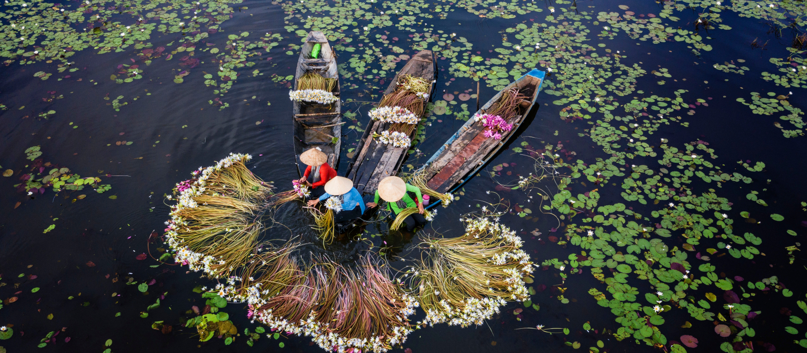 Themed Vacation Packages & Experiences | Enchanting Travels