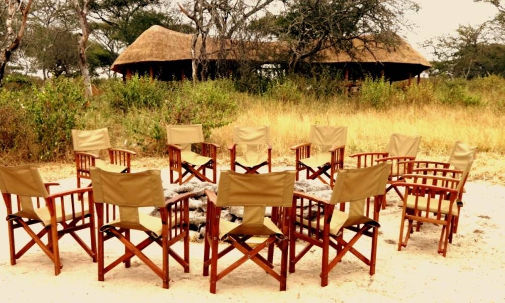 Best Tanzania Safari | North or South? Best Safari for You