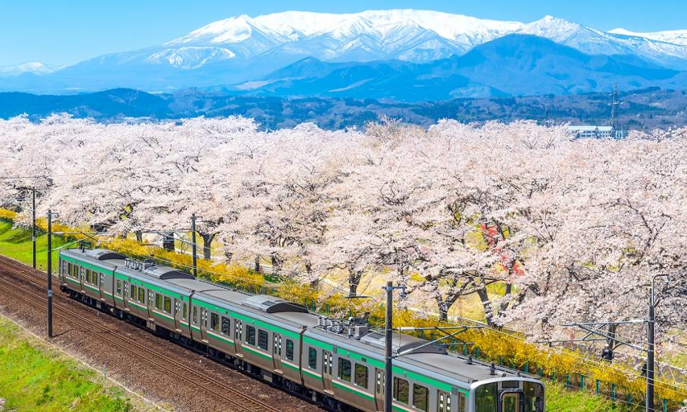 Best trips to take in 2020 - Dream destinations from around the world!