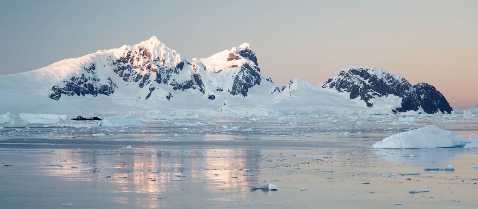 Antarctic Explorer: Discovering the Seventh Continent | Tours & Trips ...