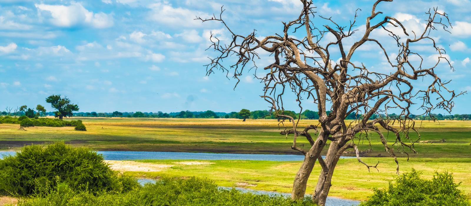 Botswana: Wildlife and Waterfalls | Tours & Trips with ENCHANTING TRAVELS