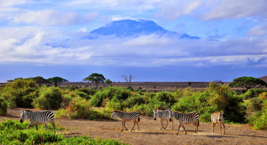 Mt Kilimanjaro Tours & Tanzania Trip | Enchanting Travels