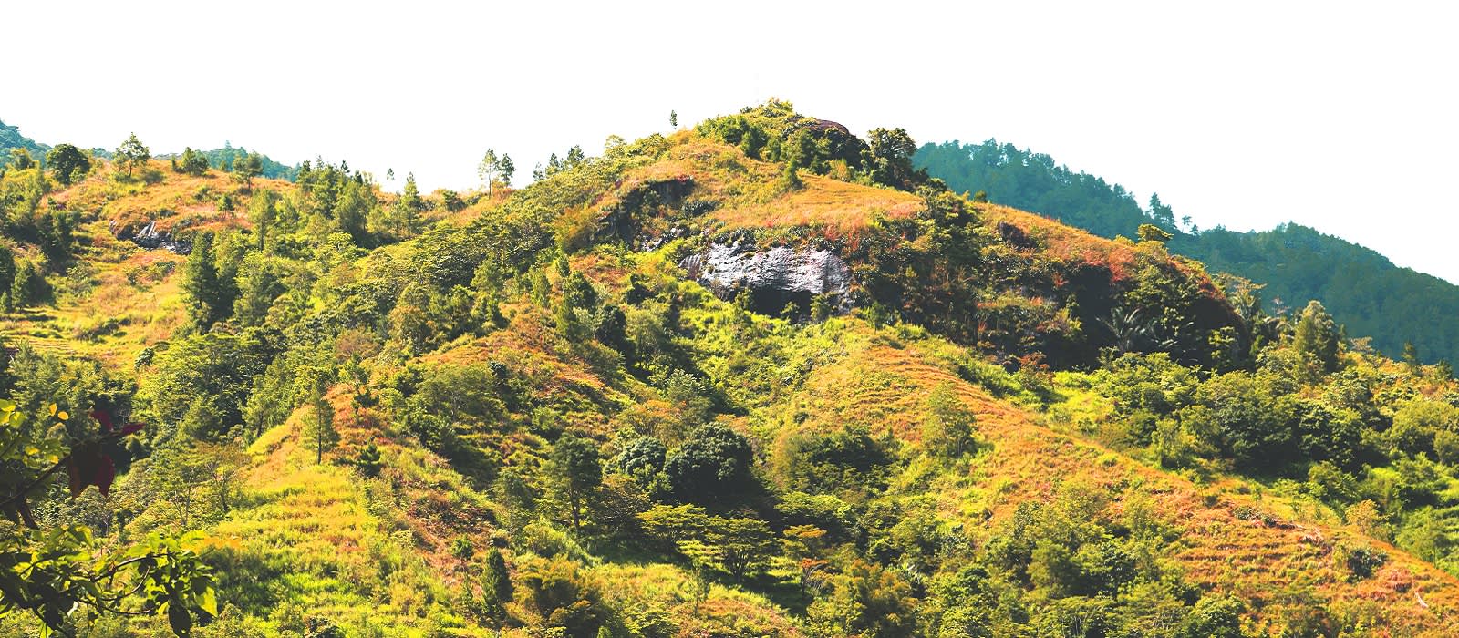 Malino Tours & Custom Indonesia Tours | Enchanting Travels