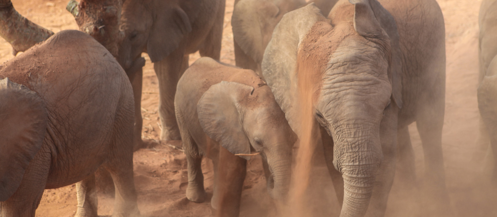 Sera Safaris & Custom Kenya Tours | Enchanting Travels