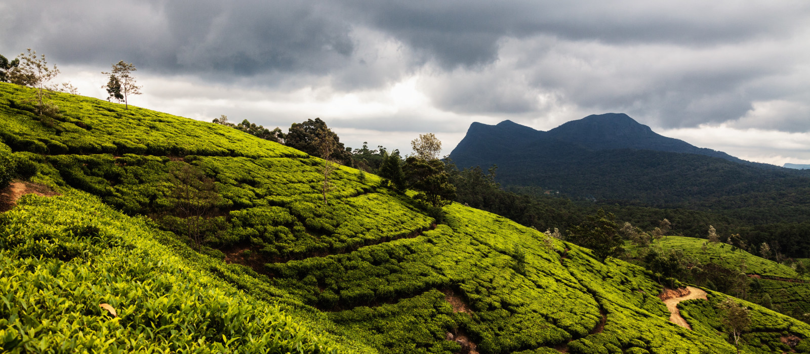 Araliya Green Hills Hotel in Sri Lanka | ENCHANTING TRAVELS