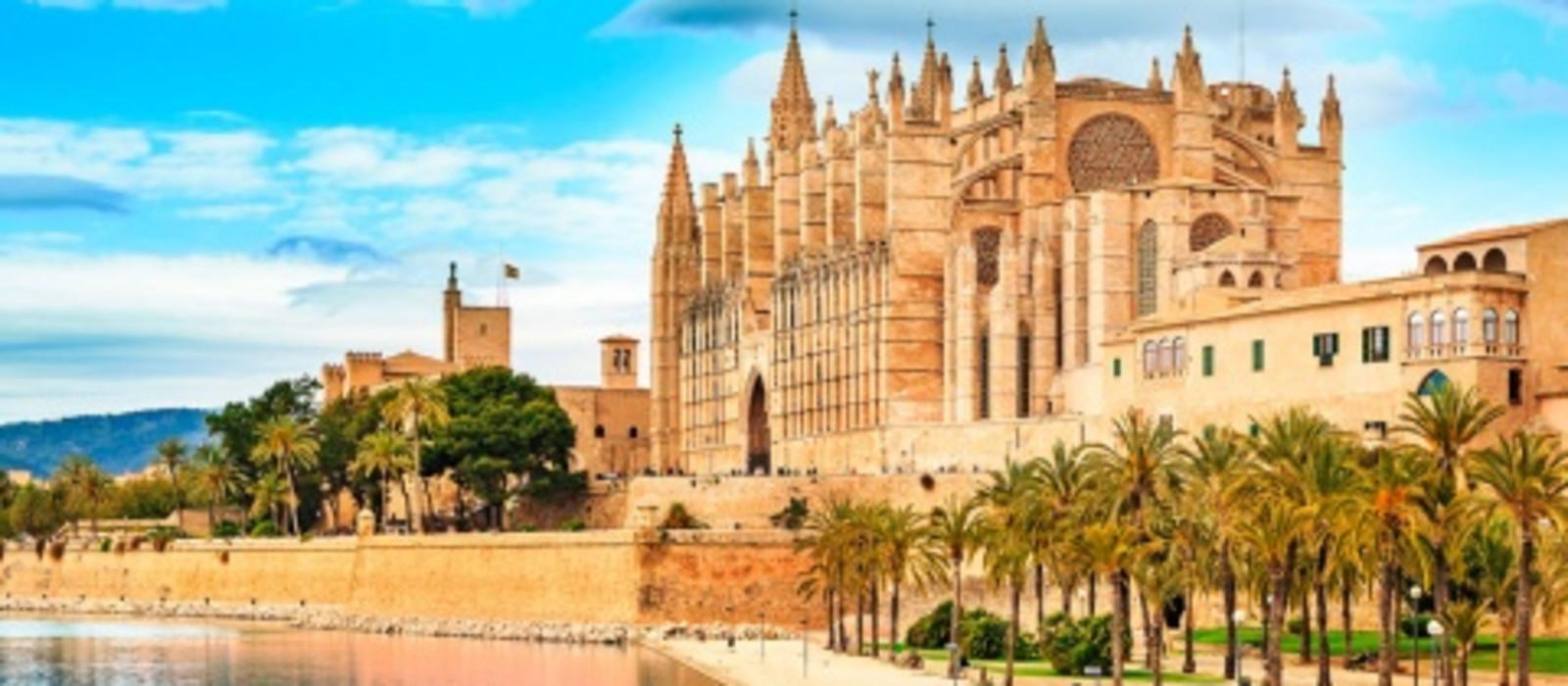 Exclusive Travel Tips for Your Destination Palma in Spain
