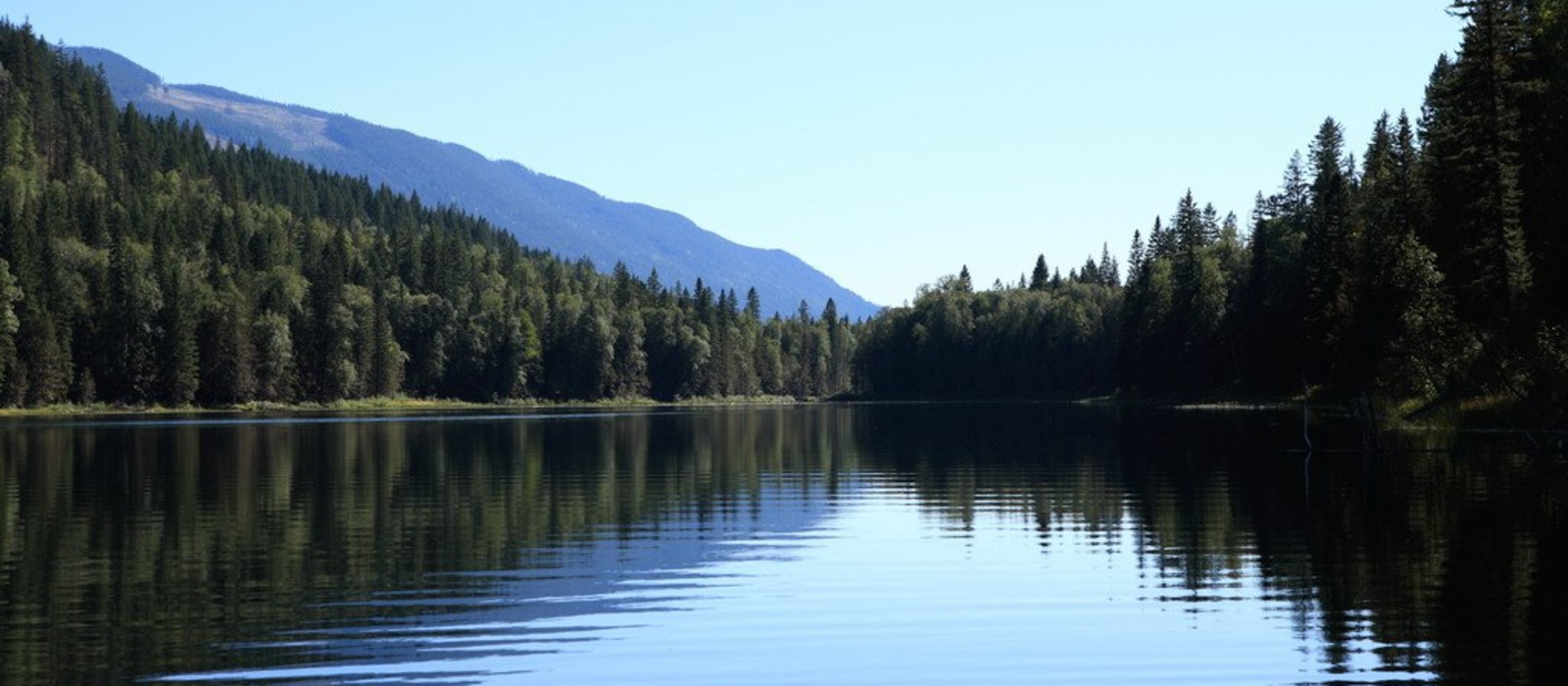 Alpine Meadows Resort Hotel in Canada | ENCHANTING TRAVELS