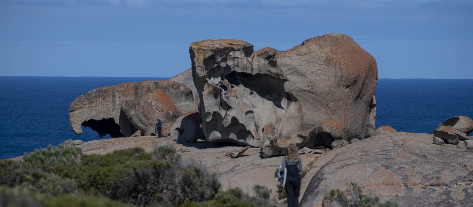 Exclusive Travel Tips for Your Destination Kangaroo Island in Australia