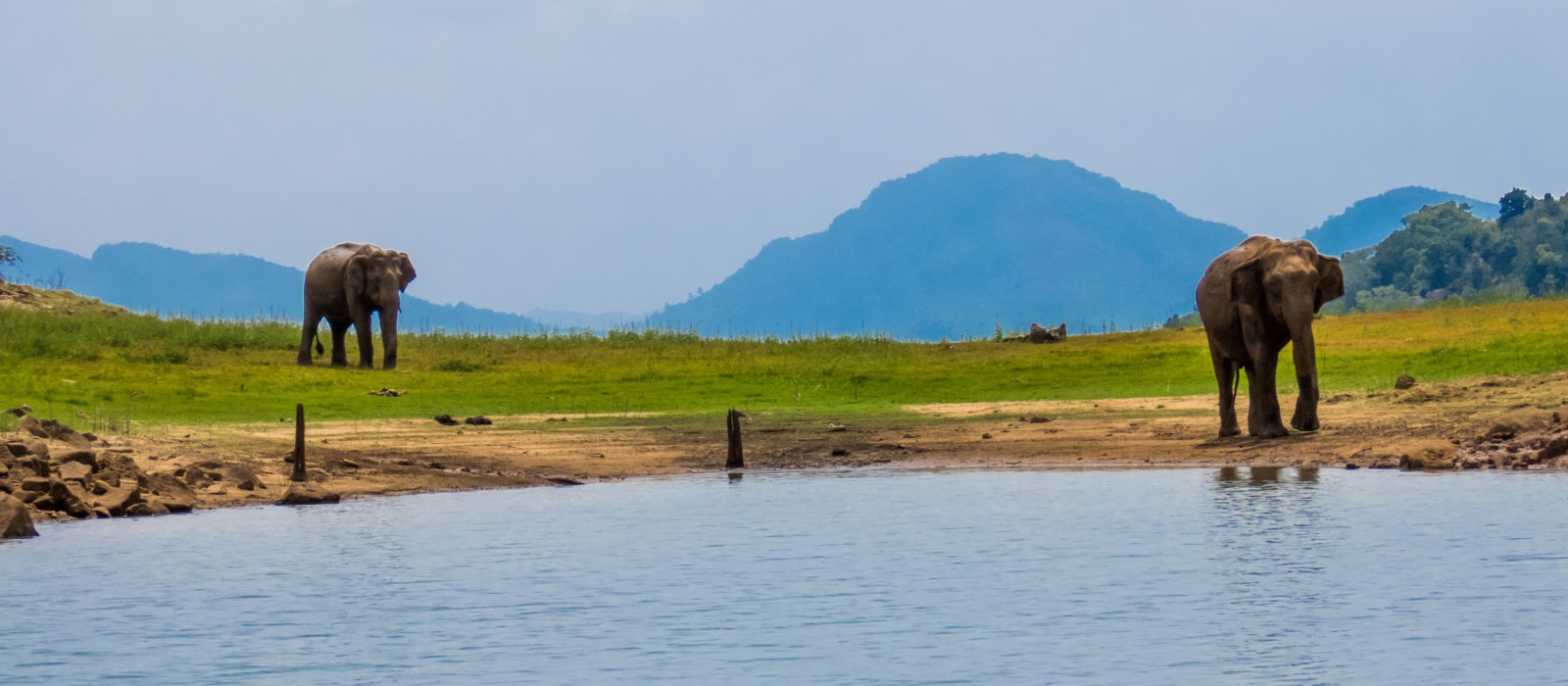 Gal Oya National Park Safari & Tours | Enchanting Travels