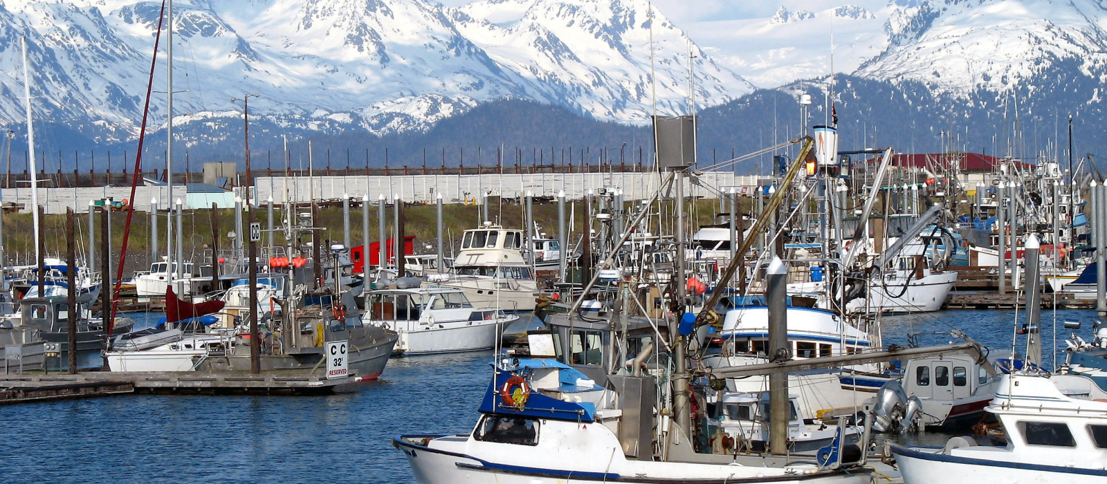 Exclusive Travel Tips for Your Destination Homer in Alaska