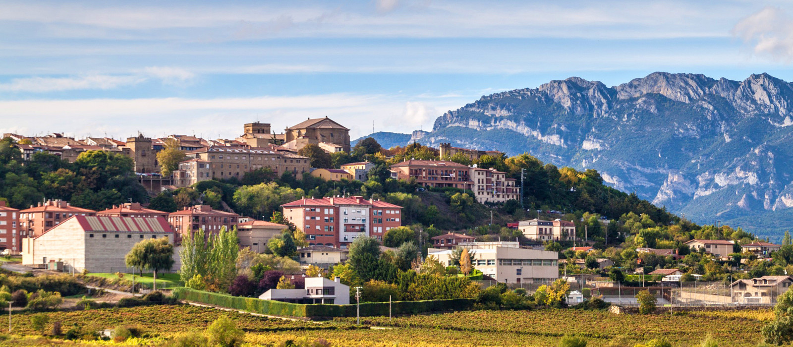 Exclusive Travel Tips for Your Destination La Rioja Region in Spain