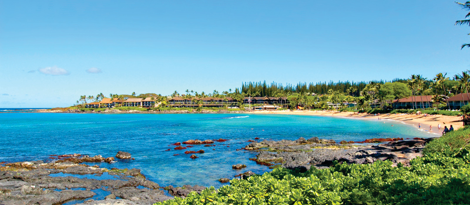 Napili Shores Maui by Outrigger Hotel in Hawaii | ENCHANTING TRAVELS