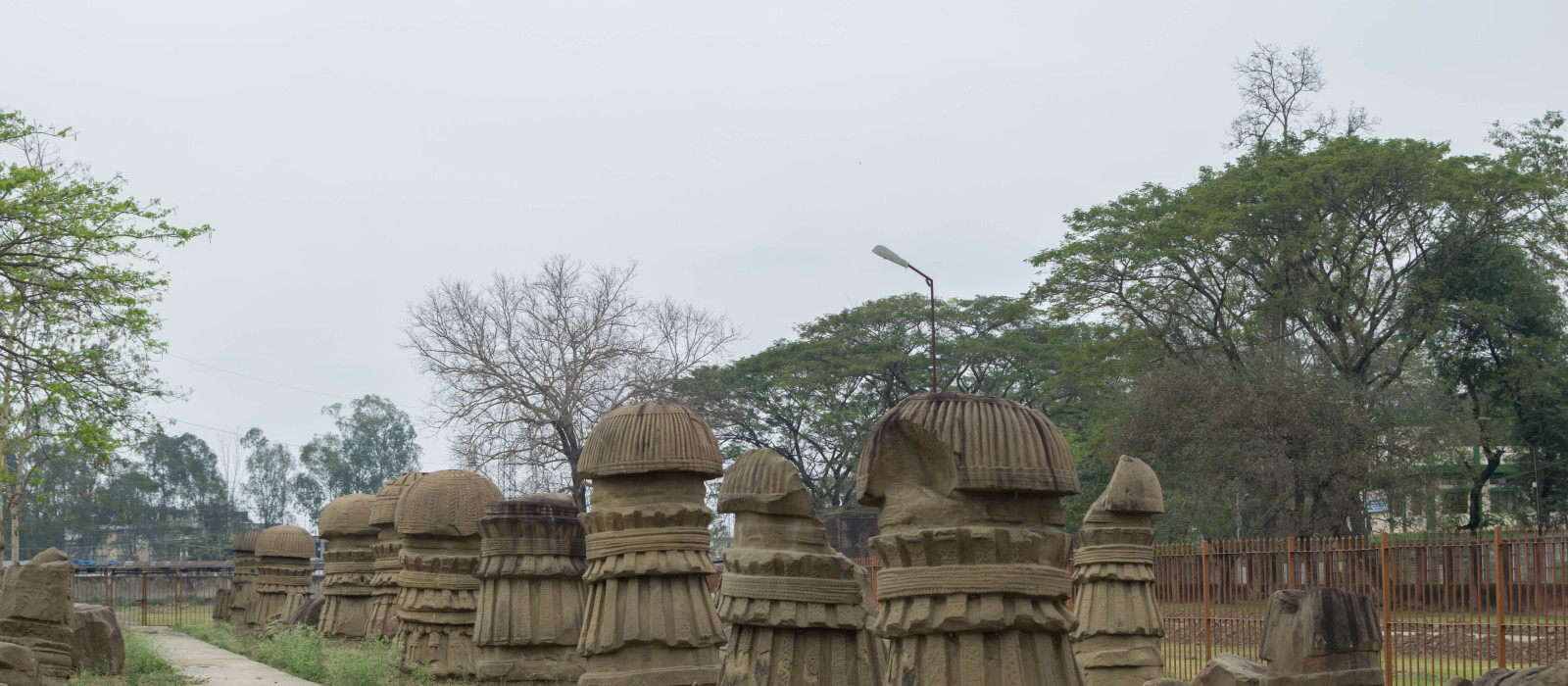 Exclusive Travel Tips for Your Destination Dimapur in East India