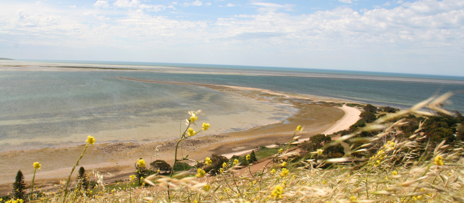 Kingscote Tours & Australia Trip | Enchanting Travels