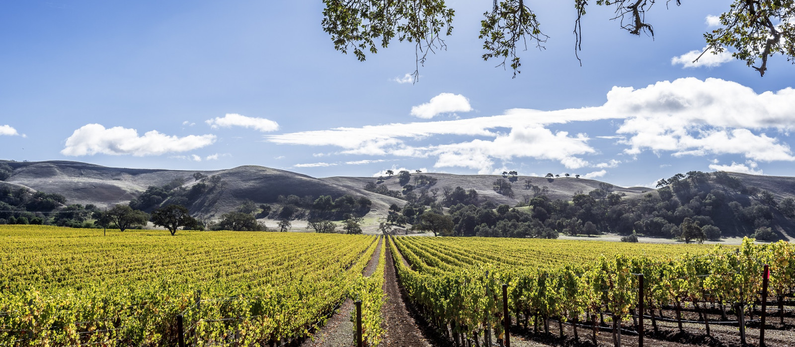 Exclusive Travel Tips for Your Destination Santa Barbara in USA