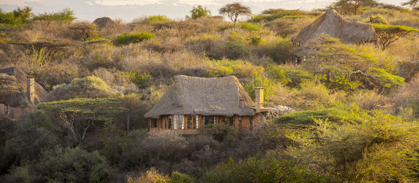 Lewa Wilderness Hotel | Enchanting Travels