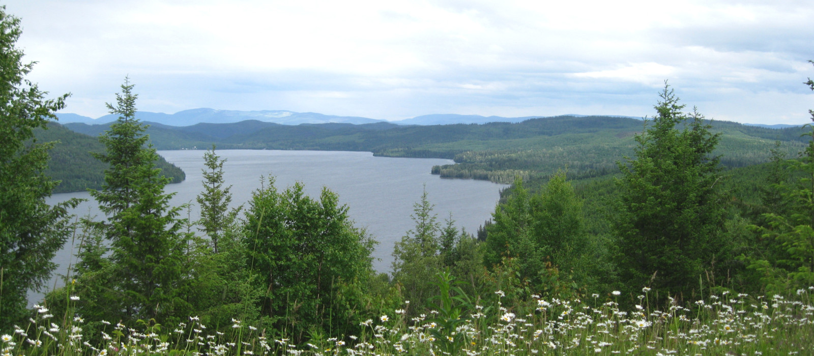 Exclusive Travel Tips for Your Destination Quesnel in Canada