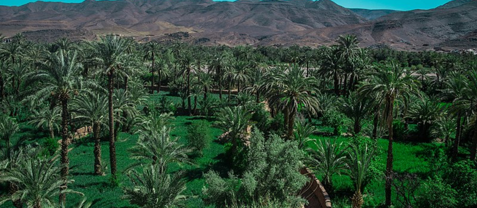 Exclusive Travel Tips for Your Destination Agdz in Morocco