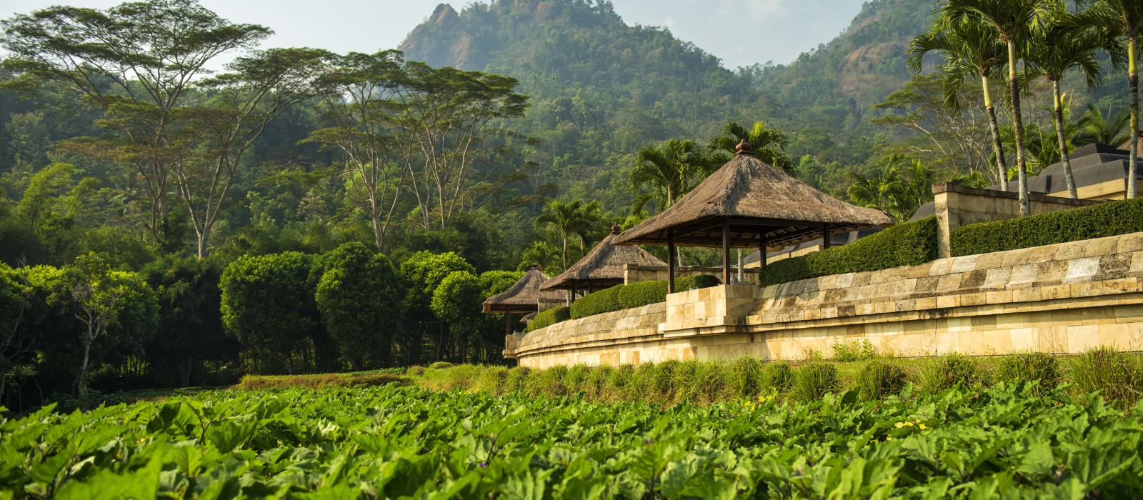Amanjiwo Borobudur Hotel in Indonesia | ENCHANTING TRAVELS
