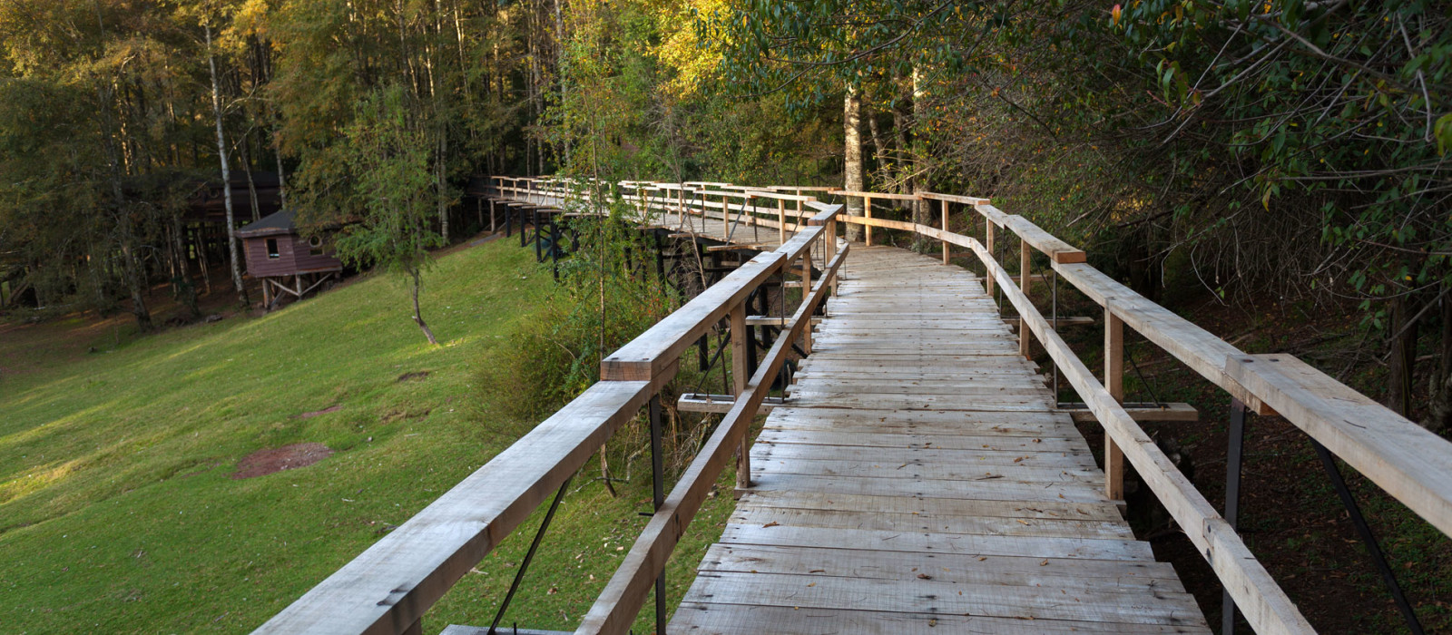 Huilo Huilo Tours & Chile Trip | Enchanting Travels