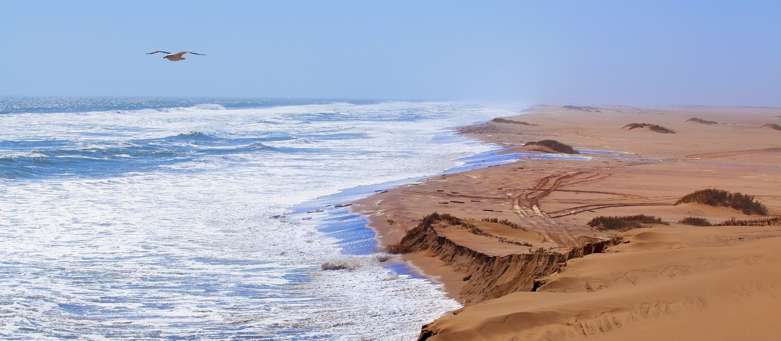 Skeleton Coast Tours & Namibia Trip | Enchanting Travels