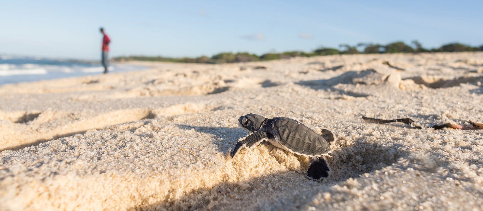 Songo Songo Island Trips in Tanzania | Enchanting Travels