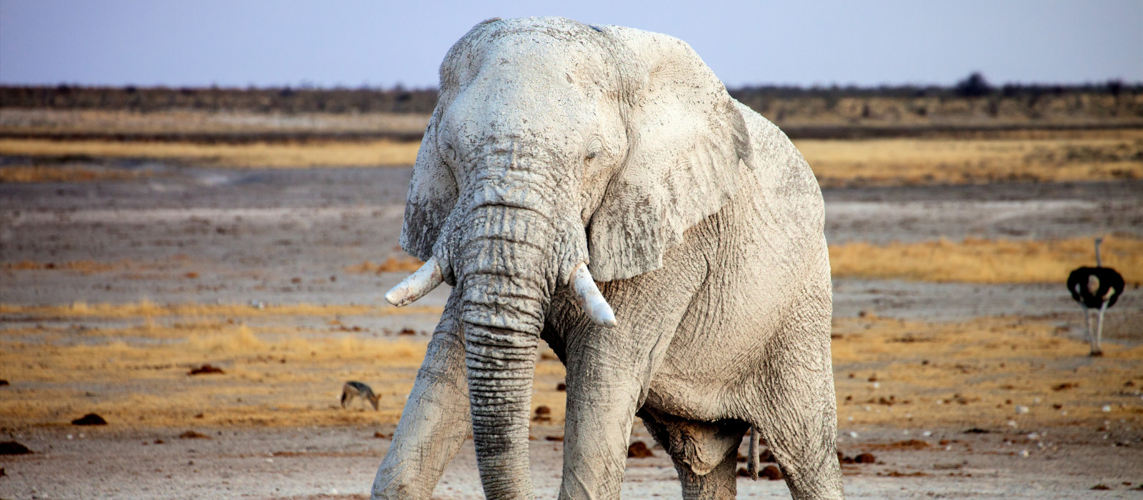 Kaokoland Tours & Namibia Trip | Enchanting Travels