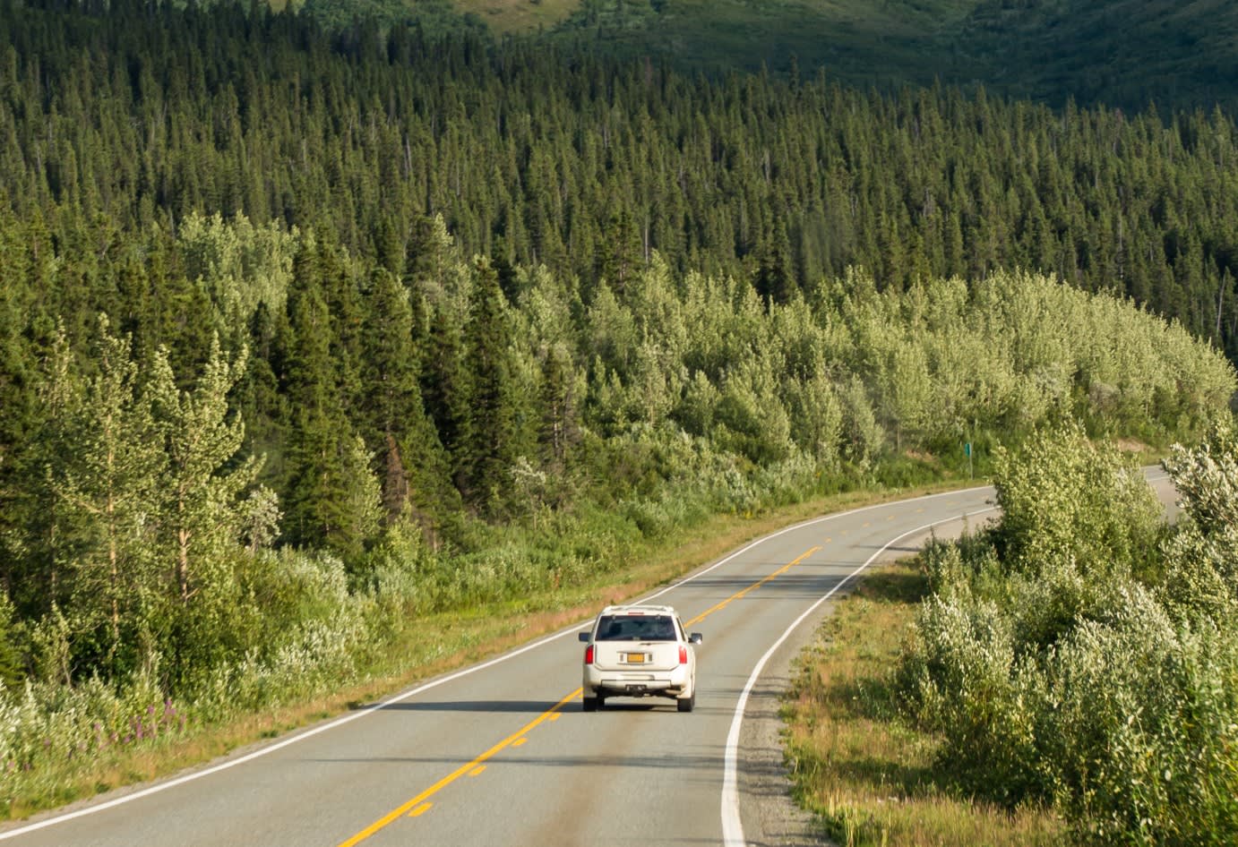 Roadtrip: Highlights von Alaska | Enchanting Travels