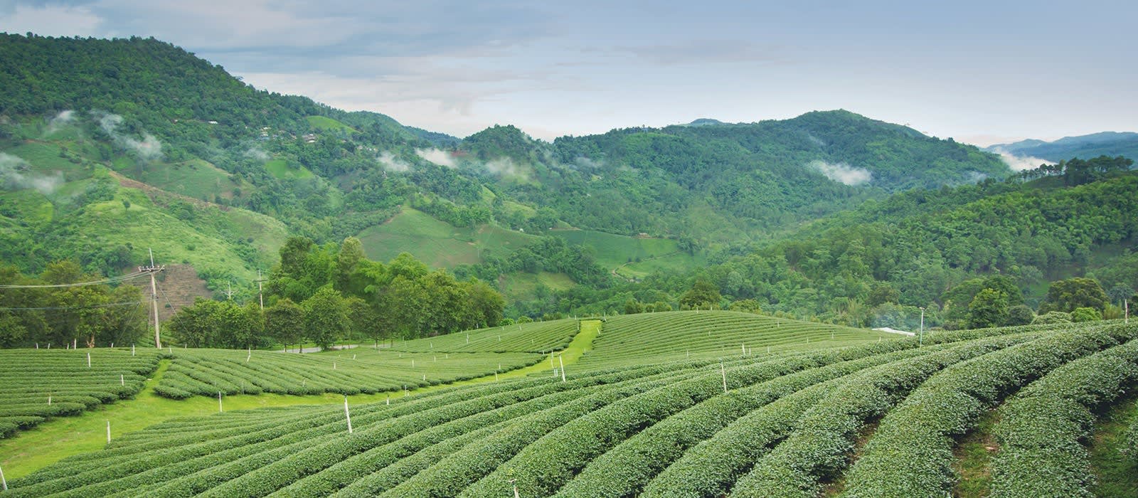 Explore East India Tours | Luxury Tours & Travel Experiences