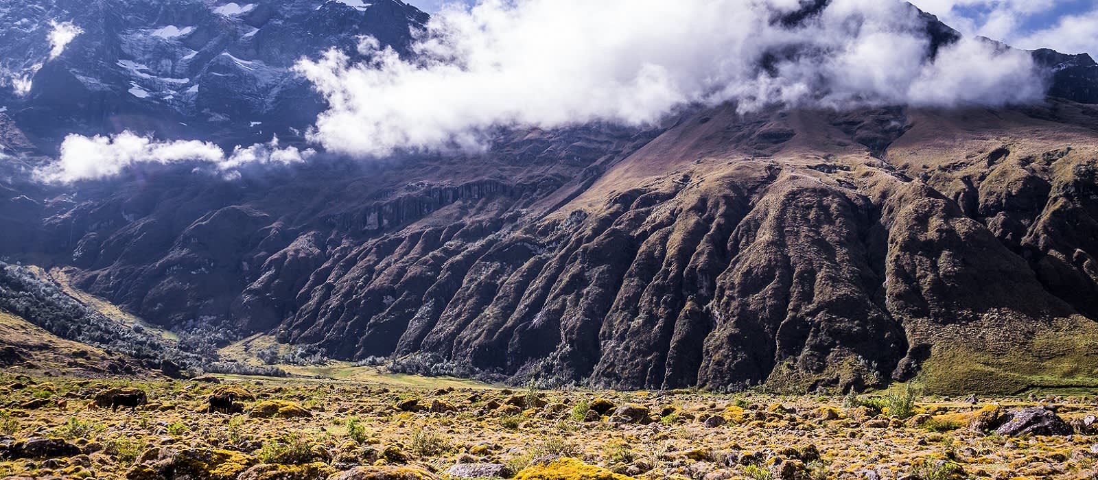 Riobamba Tours in Ecuador & Galapagos | Enchanting Travels