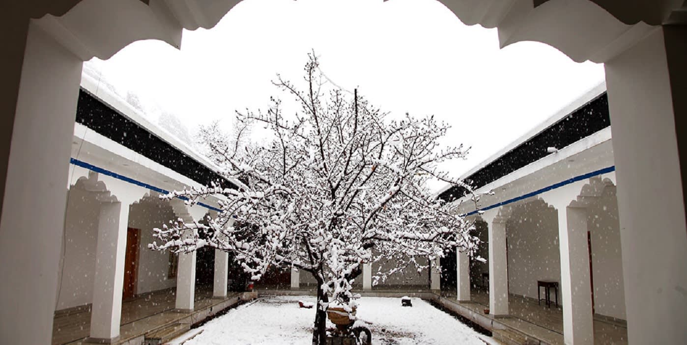The Apricot Tree Hotel - Enchanting Travels