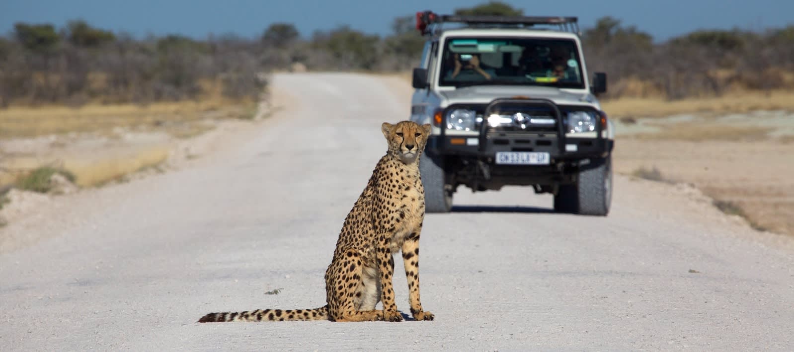 Outjo - Namibia Individualreisen | Enchanting Travels