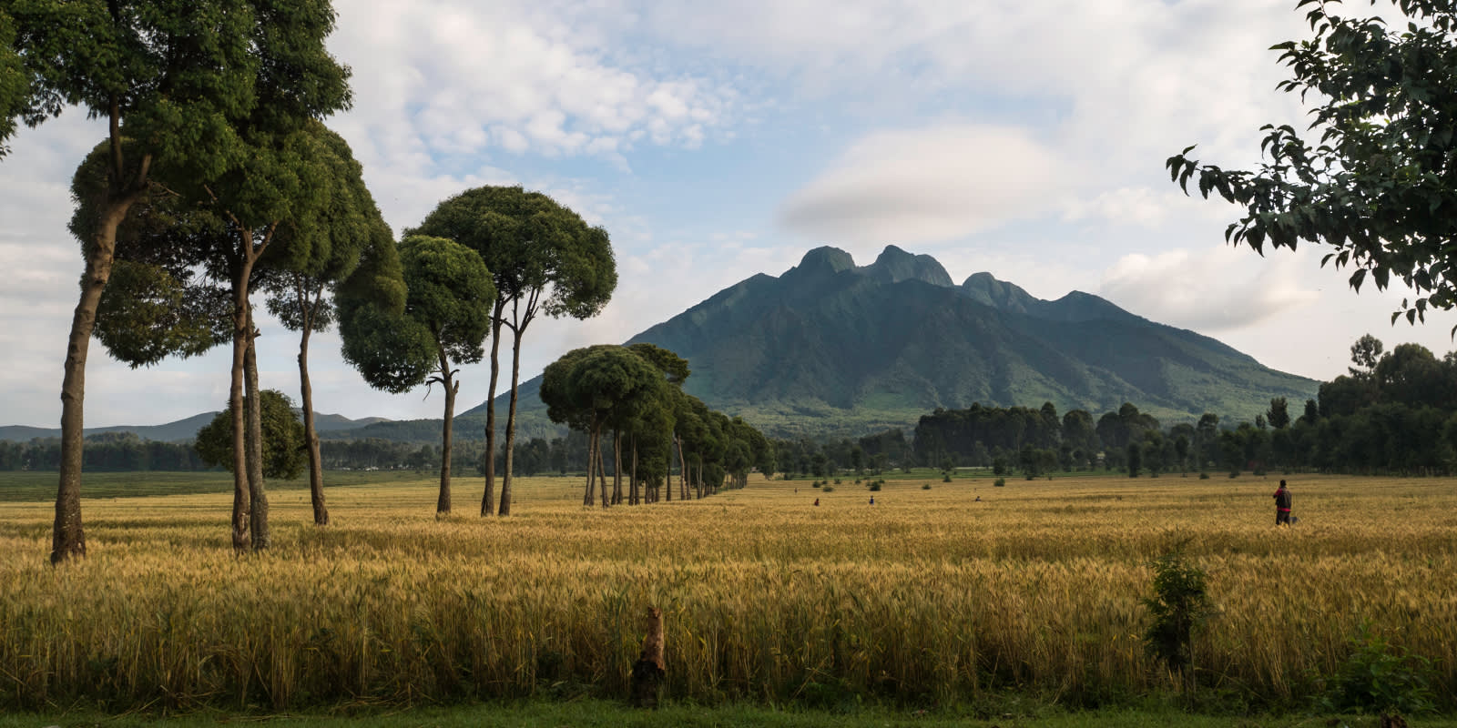 Beste Reisezeit Ruanda, Klima & Wetter | Enchanting Travels