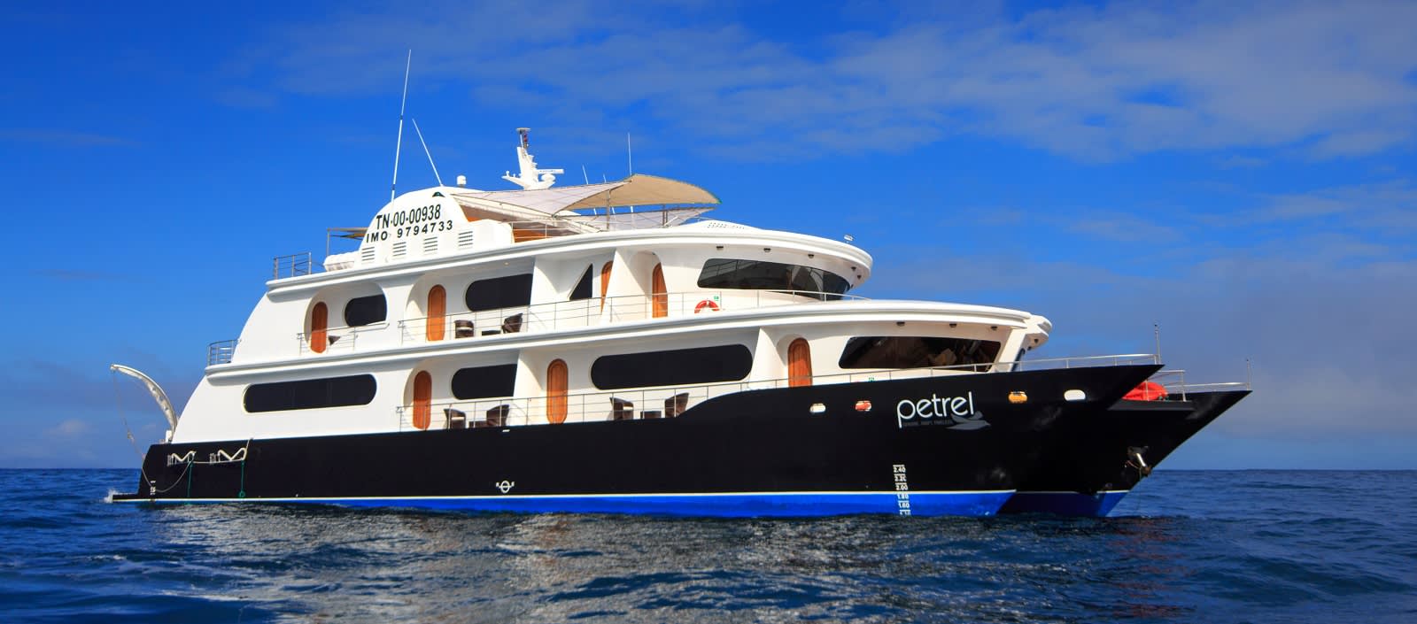 Petrel - Enchanting Travels