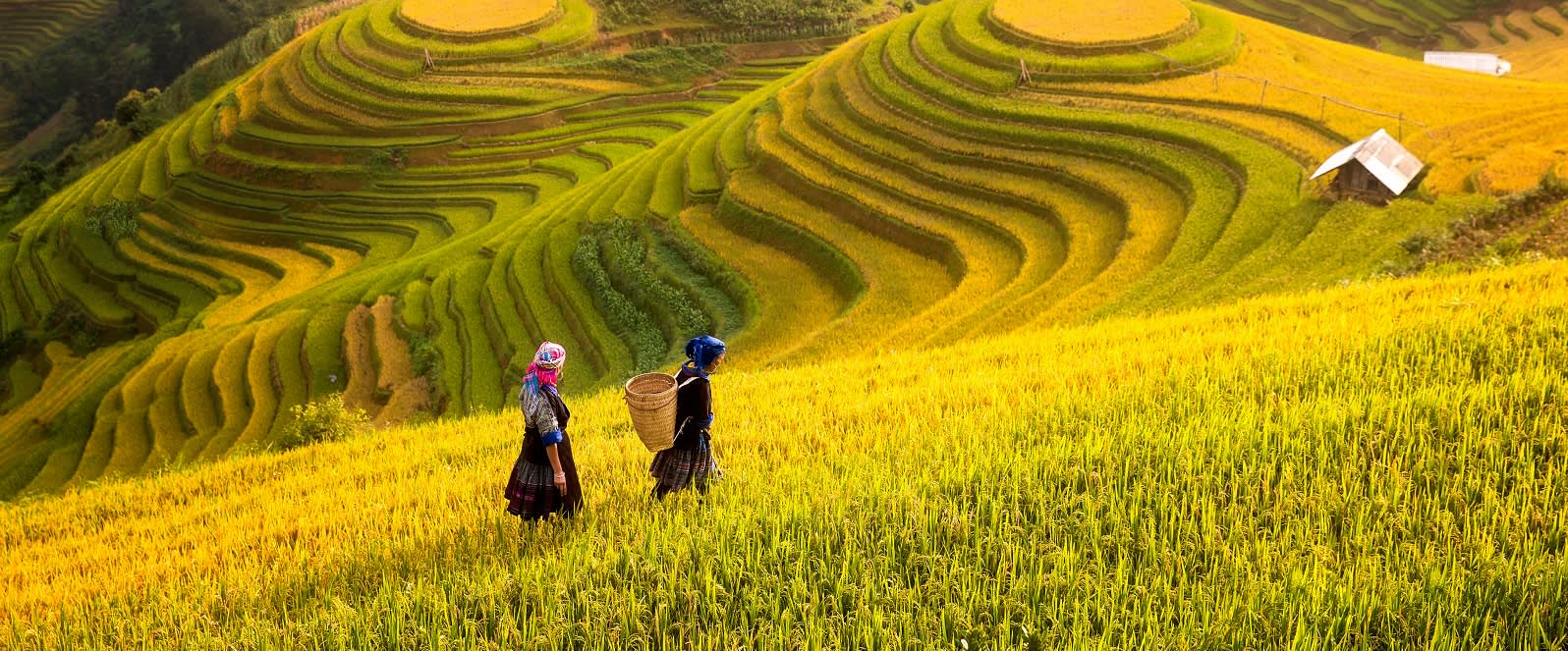 Hmong Tribe Sapa Vietnam Portrait Of A Woman Of The Red Hmong Tribe In