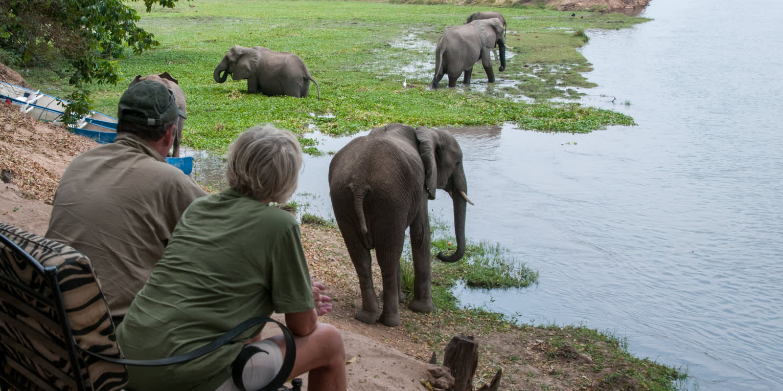 Goliath Safaris Luxury Tented Camp | Enchanting Travels