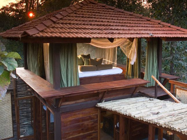 Baghvan - Enchanting Travels