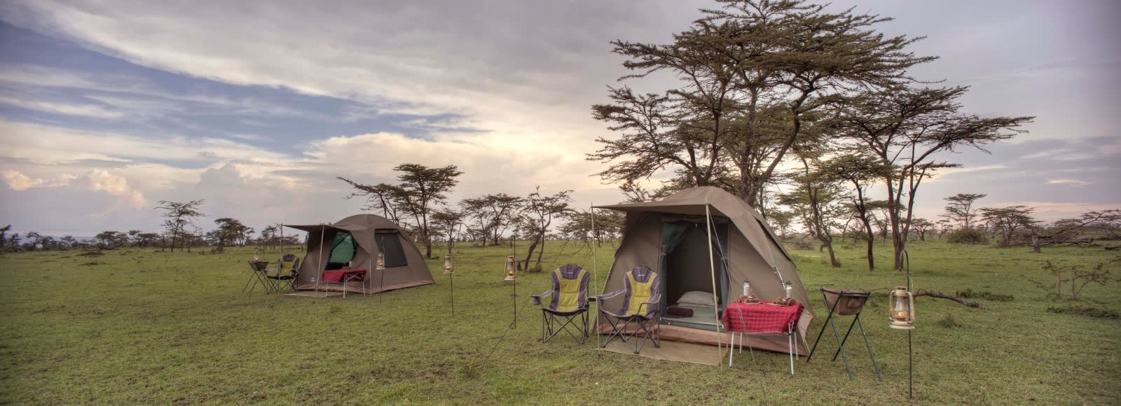 Fly Camp - Enchanting Travels