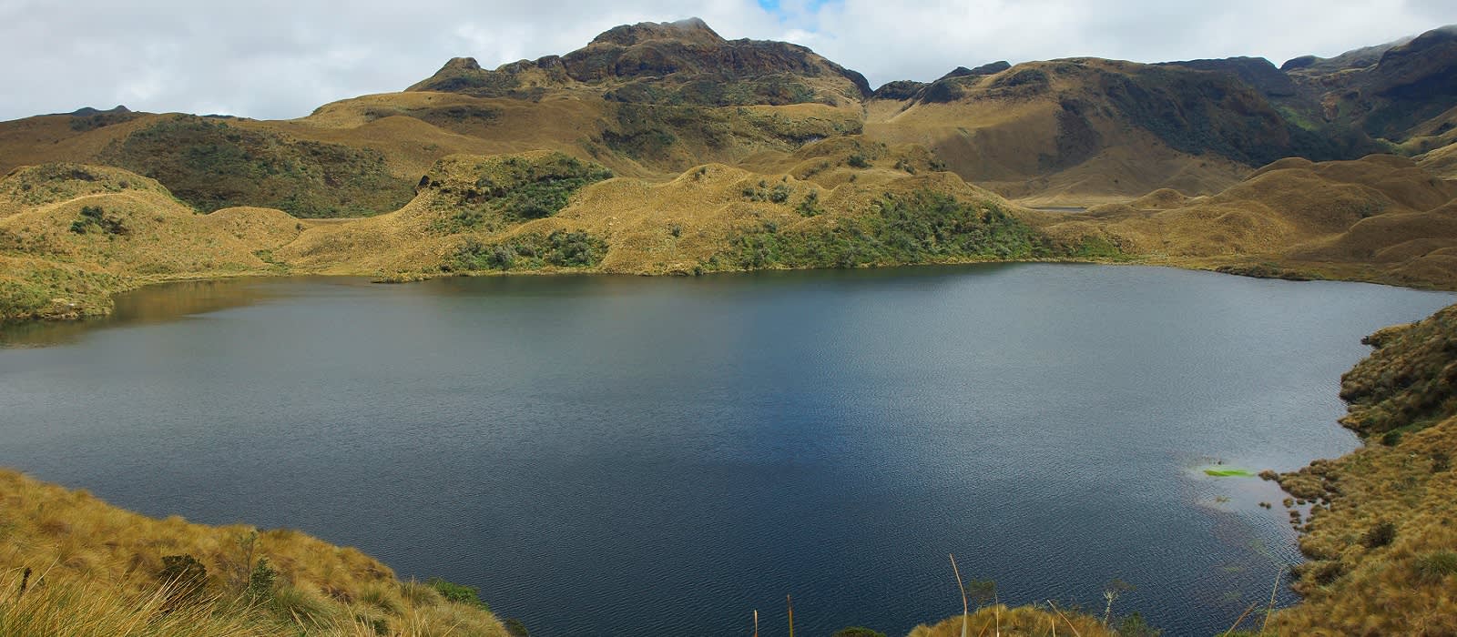 Coca Tours & Ecuador & Galapagos Trips | Enchanting Travels