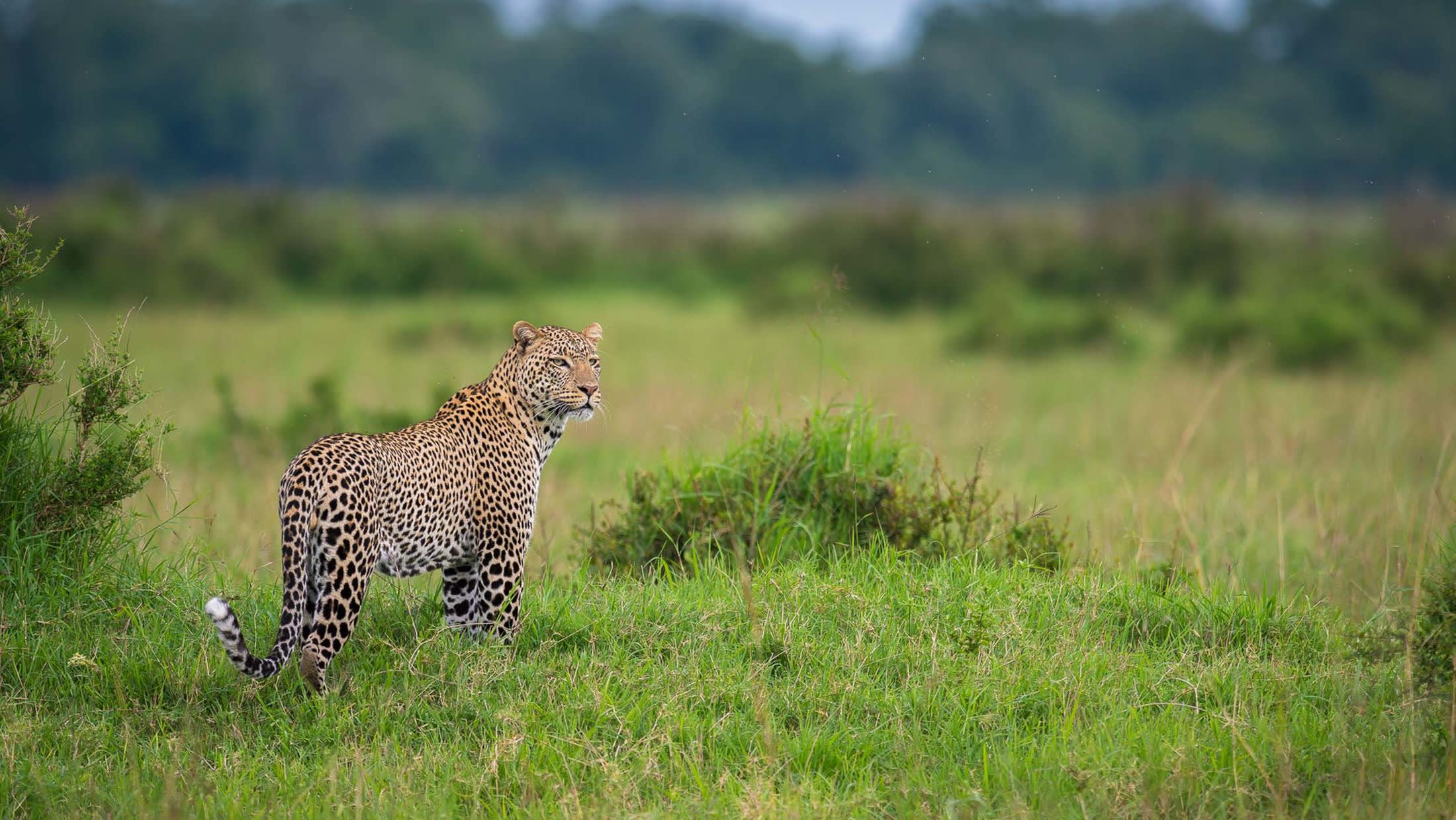 Where to go on holiday in August - Hayes & Jarvis