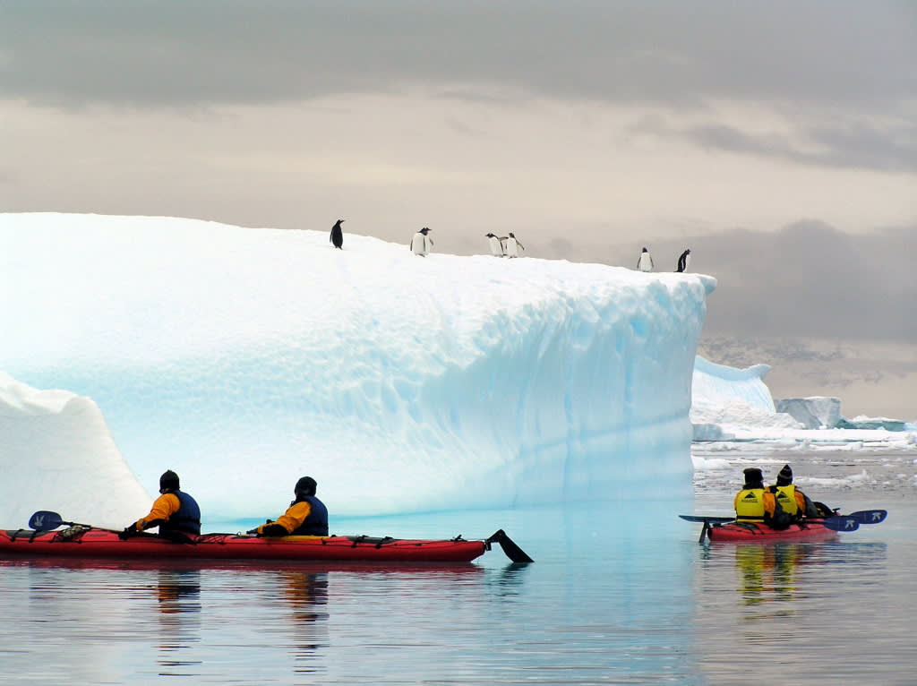 Antarctic Kayaking - An Adventure Travel Experience Like No Other