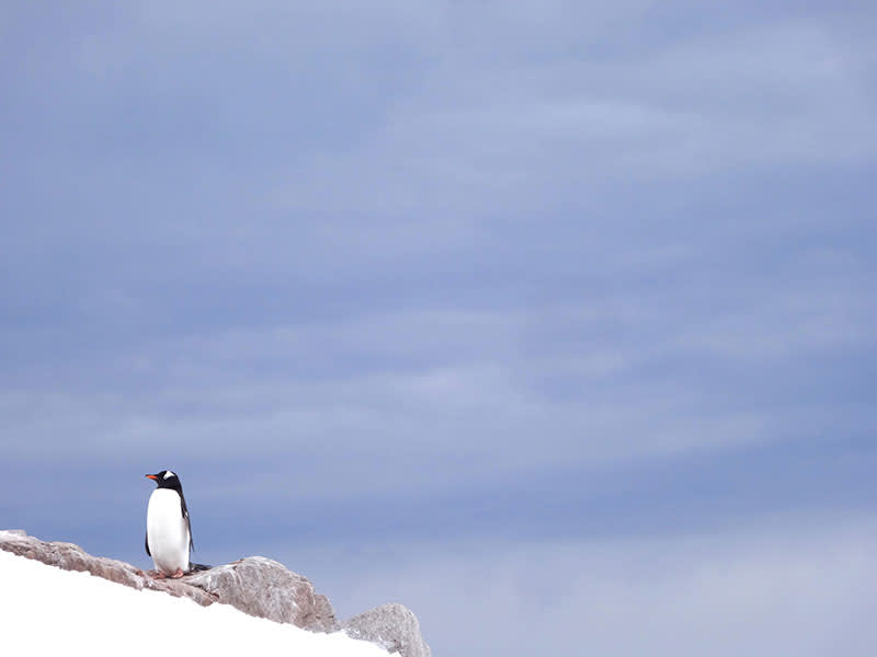 Antarctica’s Lesser Known Explorers: Meet Captain Lawrence Oates ...