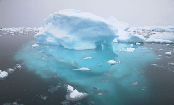 Iceberg facts - Quark Expeditions