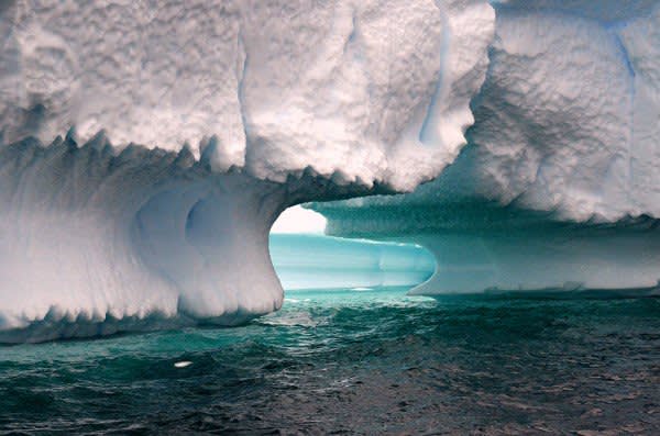 Pleneau Island: Iceberg Alley - Quark Expeditions