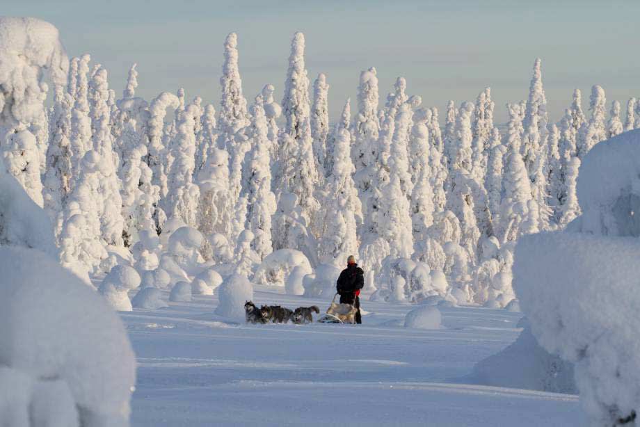 Finnish Wilderness Week Highlights | Exodus Travels