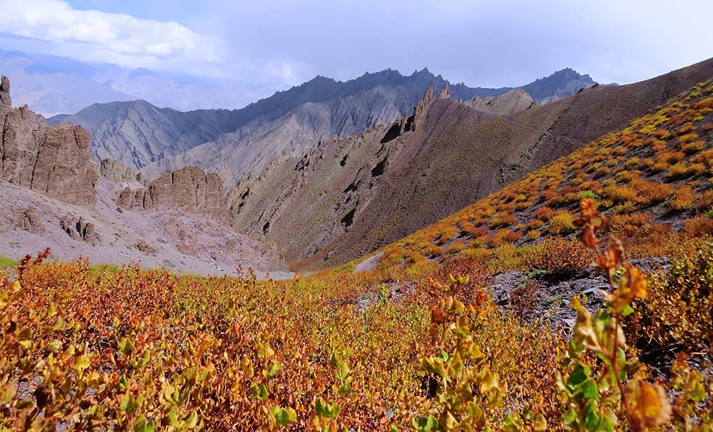 Why Ladakh is About to Become #1 On Your Wishlist | Exodus