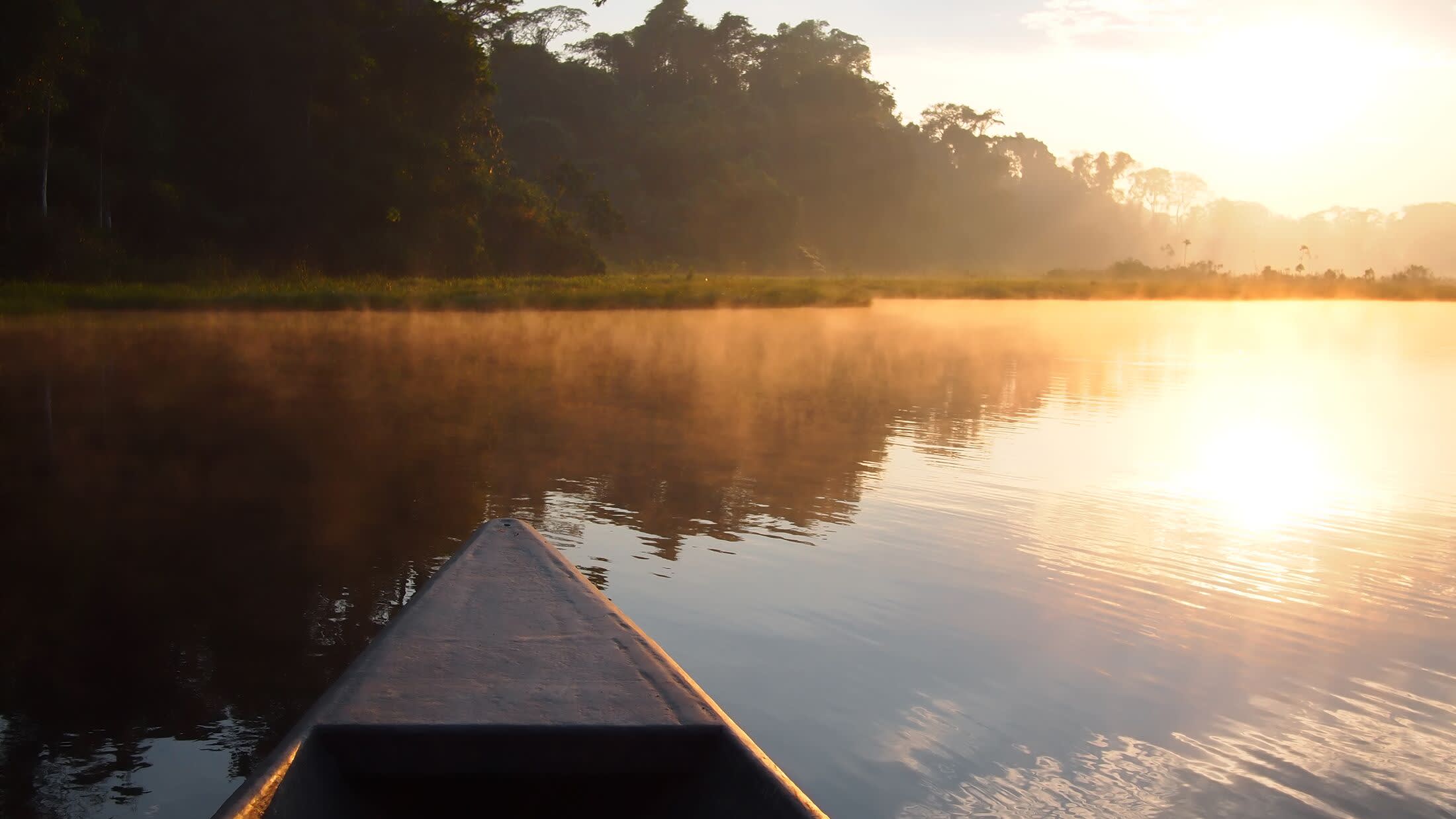 Amazon Rainforest Guide - 25 Fascinating Facts | Exodus