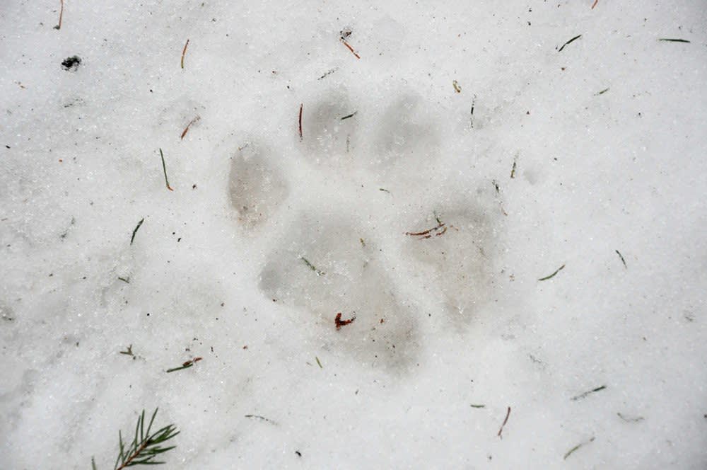 The Eastern Winter | Exodus