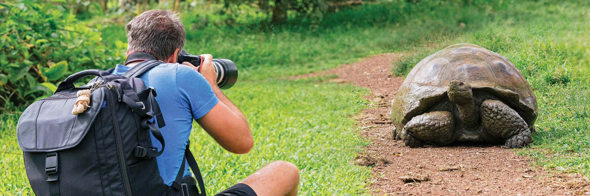 10 Simple Wildlife Photography Tips | Exodus