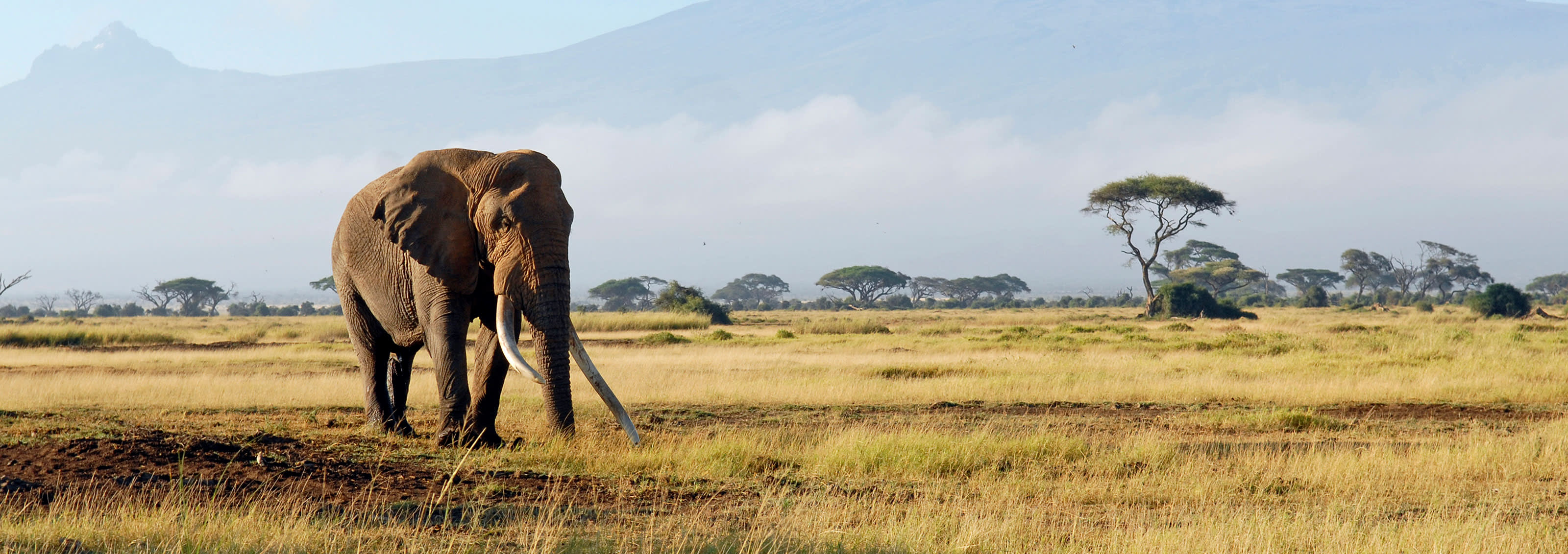 Thriving Nature | Exodus